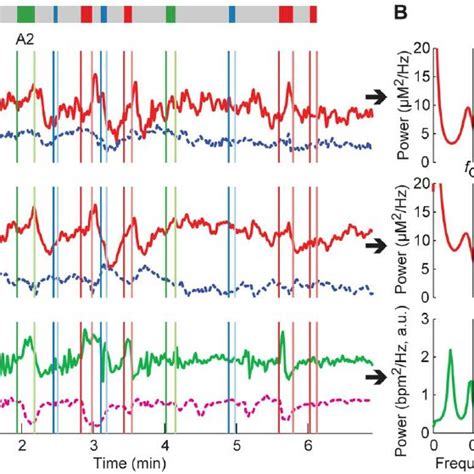 Hemodynamic Signals During One Cap Sequence A Signals In Time Domain