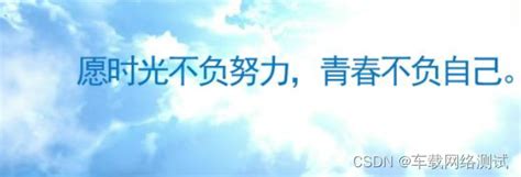 Vector Capl 简介及数据结构