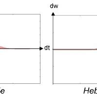 Difference Between Asymmetric STDP Learning Rule And Symmetric Hebbian