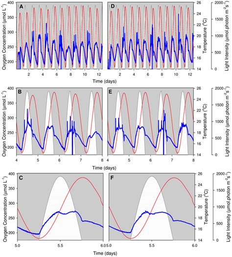 Sinusoidal Temperature Po2 Profiles Dissolved Oxygen Profiles Of N