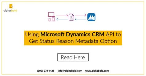 Unlocking The Power Of Microsoft Dynamics Crm Api With Javascript