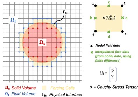Illustration Of The Interpolation Process For The Reference Uniform Download Scientific