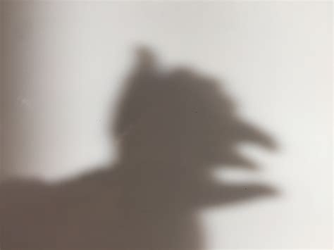 Blog De La Classe De Ruby Page 4