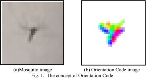 Figure 1 From Robust Tracking Method To Multiple Objects Semantic Scholar