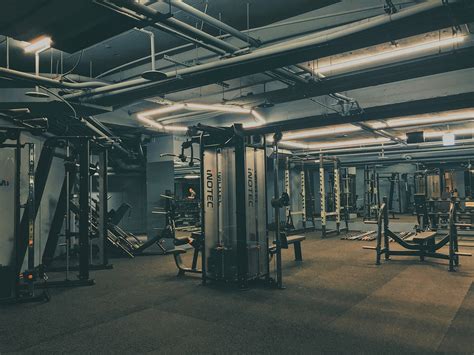 【享健身信義安和7月】基礎哈達瑜伽 Basic Hatha Yoga 票券含下課後可使用健身房所有器材【不限時間】【限當日使用