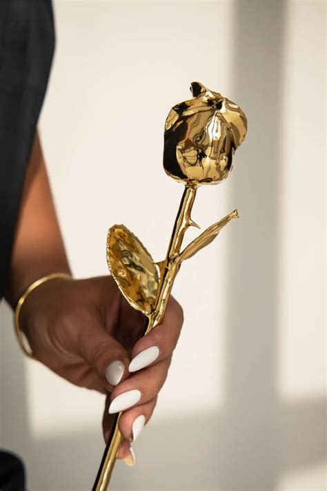 Microcontroller Vs System On A Chip Soc Vs Microprocessor By Sharjeelimtiazprof Medium