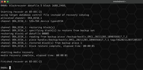 实战篇：oracle 数据坏块的 N 种修复方式 阿里云开发者社区