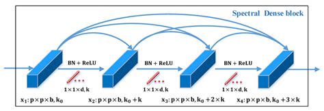 The Structure Of The Spectral Dense Block Download Scientific Diagram