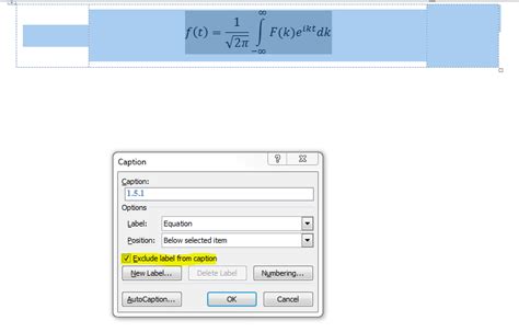 How To Insert Caption Equation In Word Tessshebaylo