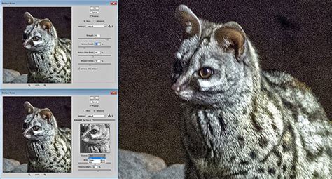 Filters And Effects Photo Review