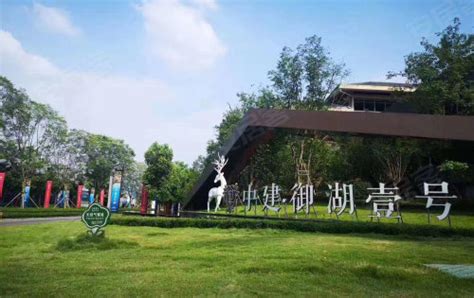 中建御湖壹号未来配套 第2页 大山谷图库