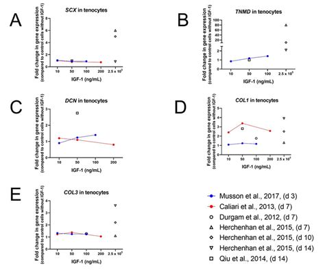 Impact Of Igf 1 Concentration On The Gene Expression Of Scleraxis Scx