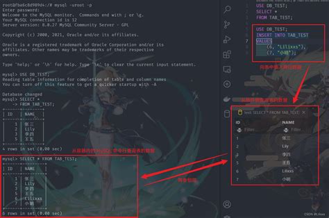 vs code 与 mysql 8 容器通过 sqltools 进行连接 csdn博客