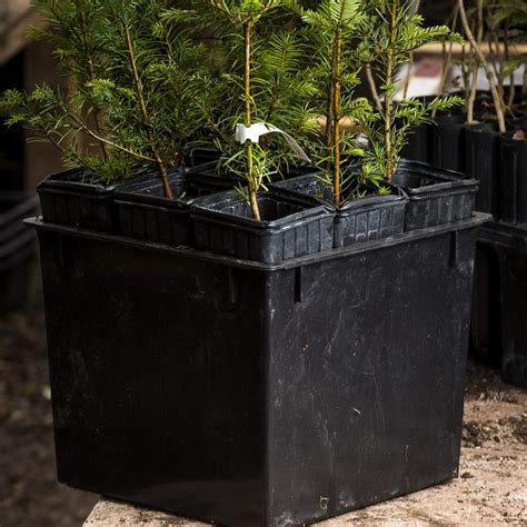 Treepots™ And Trays Cp412ch 4 X 12 Treepot With Corner Holes