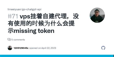 Vps挂着自建代理，没有使用的时候为什么会提示missing Token · Issue 71 · Linweiyuango Chatgpt Api · Github