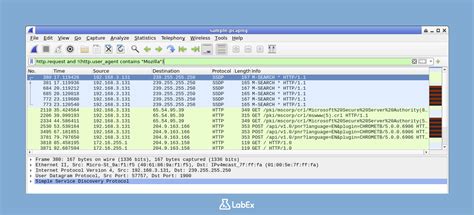 Analyze Network Traffic With Wireshark Display Filters Labex