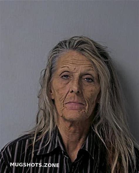 Cook Lori Jo 06032025 Logan County Mugshots Zone