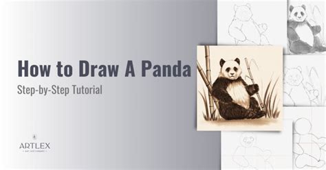 How To Draw A Panda A Step By Step Tutorial Artlex
