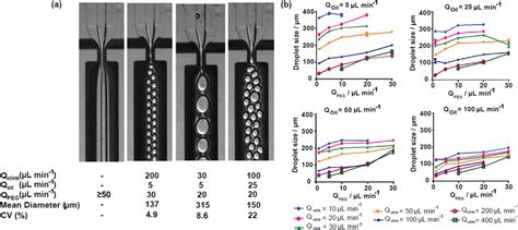 Microfluidic Based Generation Of Size Controlled Biofunctionalized Synthetic Polymer Microgels