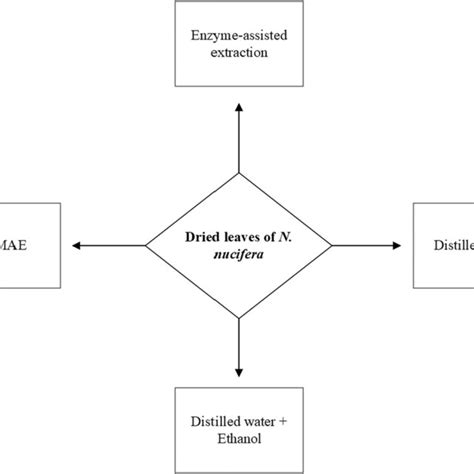 Schematic Representation Of Methods Of Extraction Used From Download Scientific Diagram