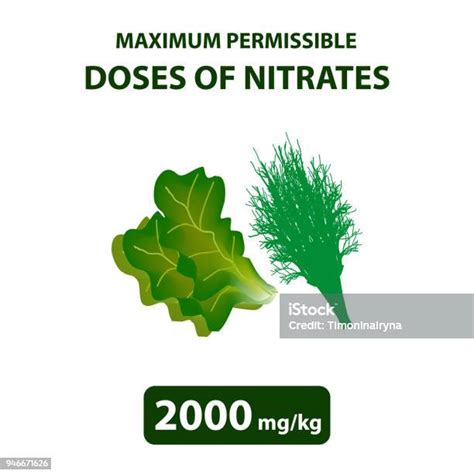딜 질산염의 최대 허용 가능한 복용량 샐러드 야채와 과일에 질산염입니다 인포 그래픽입니다 격리 된 배경에서 벡터 일러스트 레이 션 0명에 대한 스톡 벡터 아트 및 기타