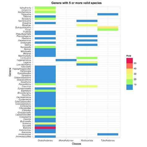 Number Of Species Per Foraminifera Genus And Its Distribution Among
