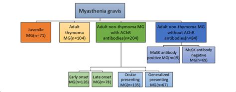 Mg Comprehensive Subgroup Classification Download Scientific Diagram