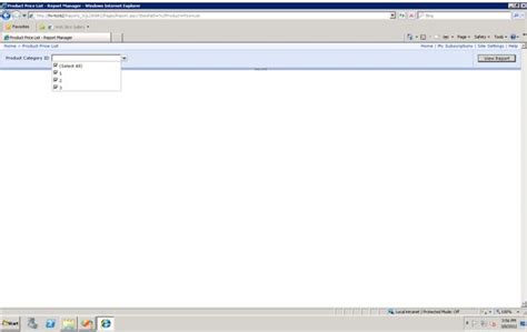 How To Display All Selected Values For An Ssrs Multi Select Parameter In An Excel Report