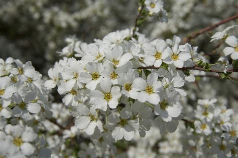【数学分析】（伍胜健）第九章习题 知乎