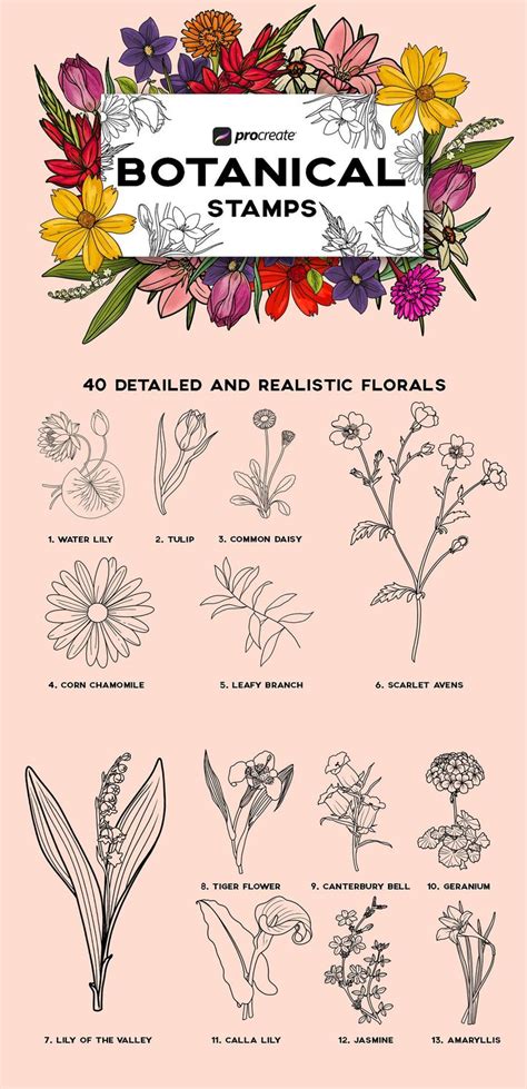 40 Botanical Realistic Procreate Brushes Easy To Use Stamp Brushes