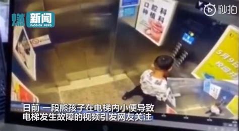 熊孩子电梯内小便引发故障 吓到求饶不停掰电梯门 搜狐大视野 搜狐新闻