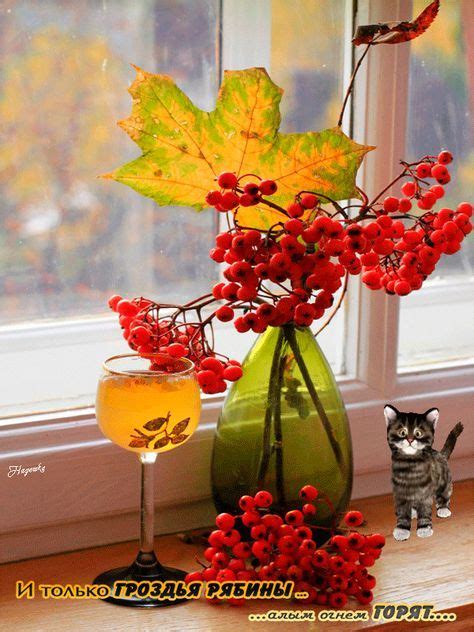 Гроздья рябины Осень Открытки  Анимация Страна красоты  Осенний баннер