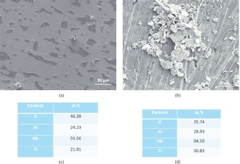 A B The Surface Ti 46al 7nb 0 7cr 0 1si 0 1ni With Al 2 O 3 Layer Download Scientific Diagram