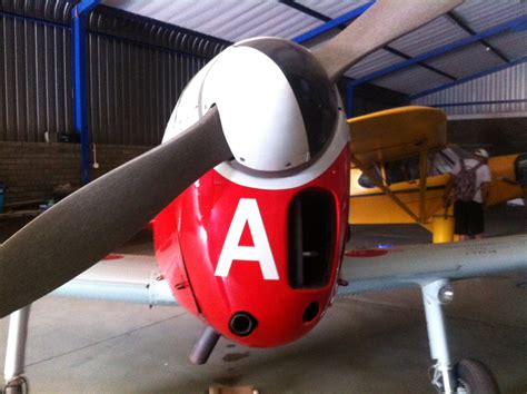 Chipmunk Essential Pilot