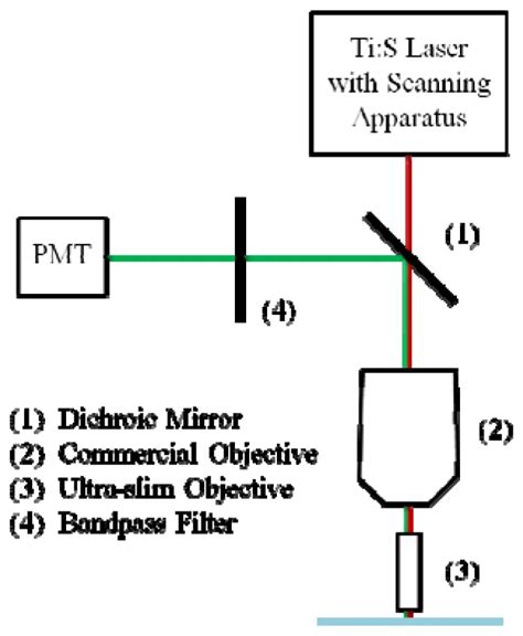 Schematic Of The Non Linear Imaging Setup Used To Test The Ultra Slim