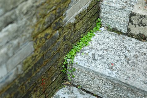 路面素材 路面模板 路面图片免费下载 设图网