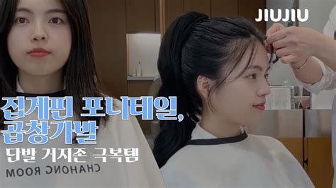 짧은머리 예쁘게 포니테일하기 💛집게포니테일 곱창가발 이용해서 풍성하게 스타일링했어요 Youtube