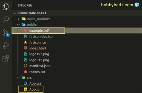 How To Download A File In Reactjs Local Or From Url Bobbyhadz