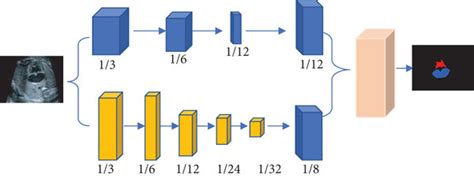 Double Network Echocardiography Segmentation Model Download