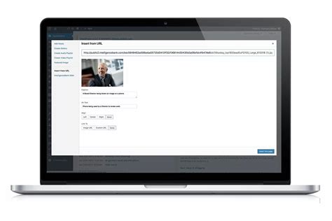 Introducing Our Wordpress Connector Intelligencebank