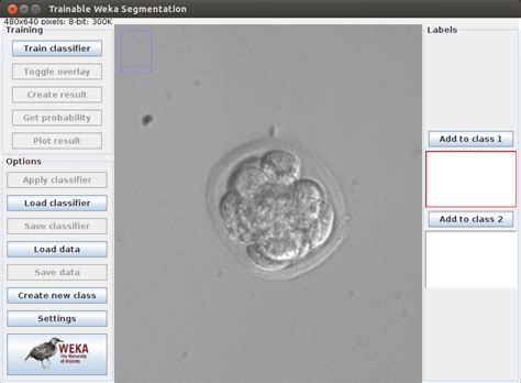 trainable weka segmentation how to install new classifiers imagej