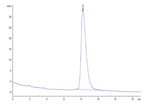 Human Ddr2 Protein Ddr Hm1r2 Kactus