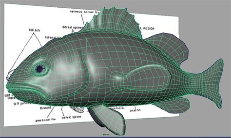 Pin On Poligon Topology Organic