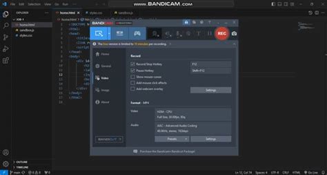 Hussein Naserddine On Linkedin Codealpha