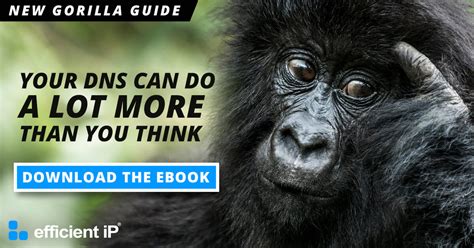 Efficientip On Linkedin The Gorilla Guide® To… Zero Trust Using Dns As Your First Line Of Defense