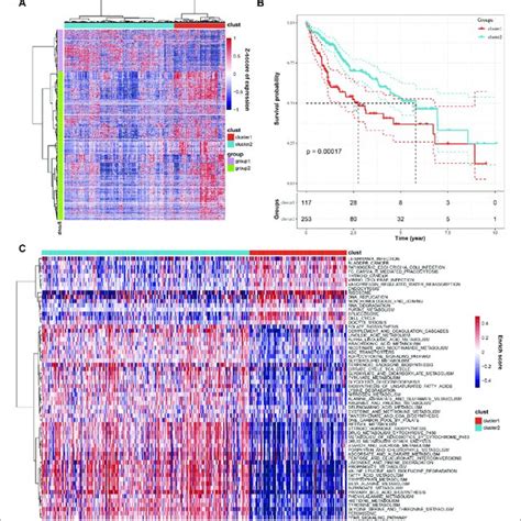 Combined Analysis Of Cells And Marker Genes From Single Cell Rna Download Scientific Diagram