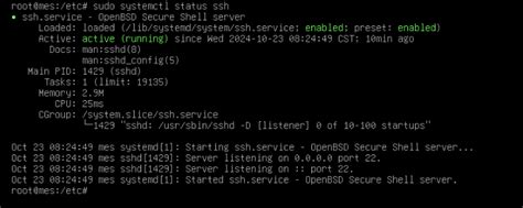 Debian Gnu Linux Sshapt Debian Csdn