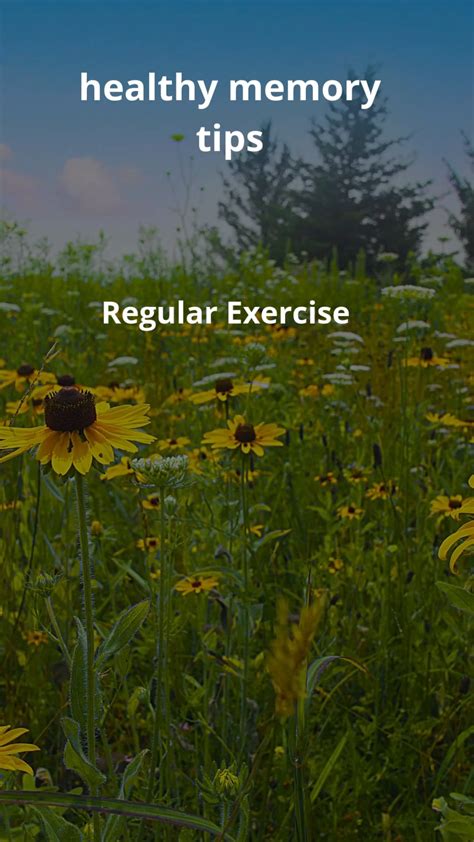 Healthy Memory Tips R Brain