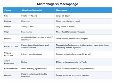 Microphage Vs Macrophage