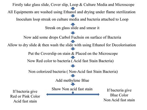 Staining Methodspdf